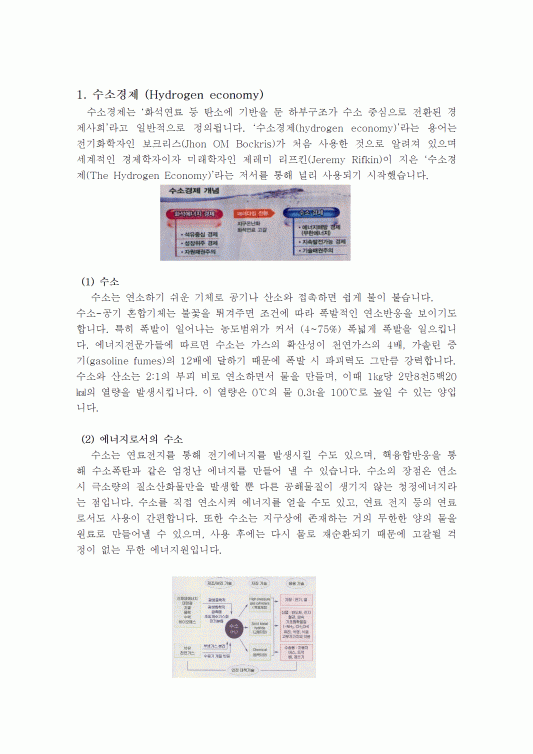 수소경제 레포트 자료