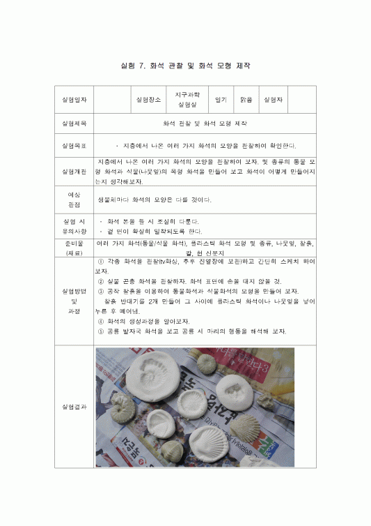 화석 관찰 및 화석 모형 제작 실험보고서