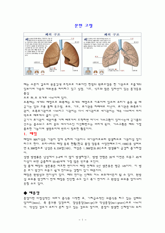 수술실케이스-폐암