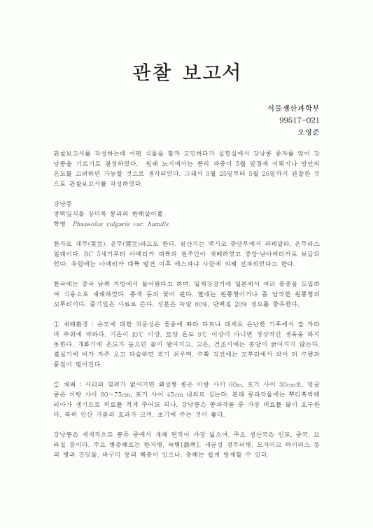 강낭콩 재배 일지