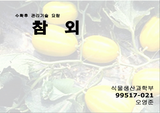 참외의 수확후 관리 요람 발표