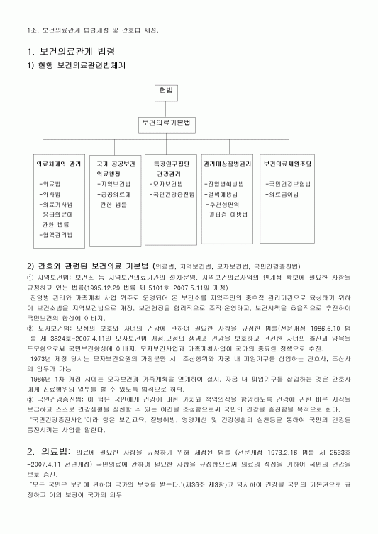 보건의료관계 법령개정 및 간호법 제정