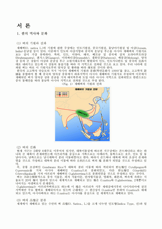 쌀의 2차 가공품 - 떡에 대한 조사