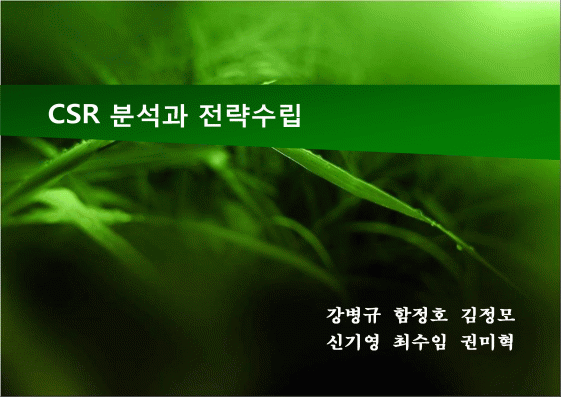 CSR분석 및 실행전략