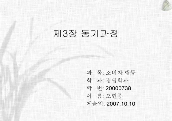 소비자 행동론 3장 동기 과정
