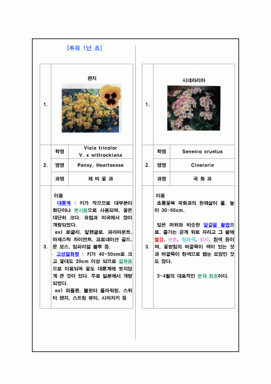 추식 구근초 와 추파 일년초