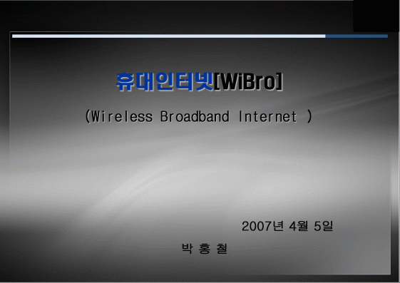 휴대인터넷[WiBro]