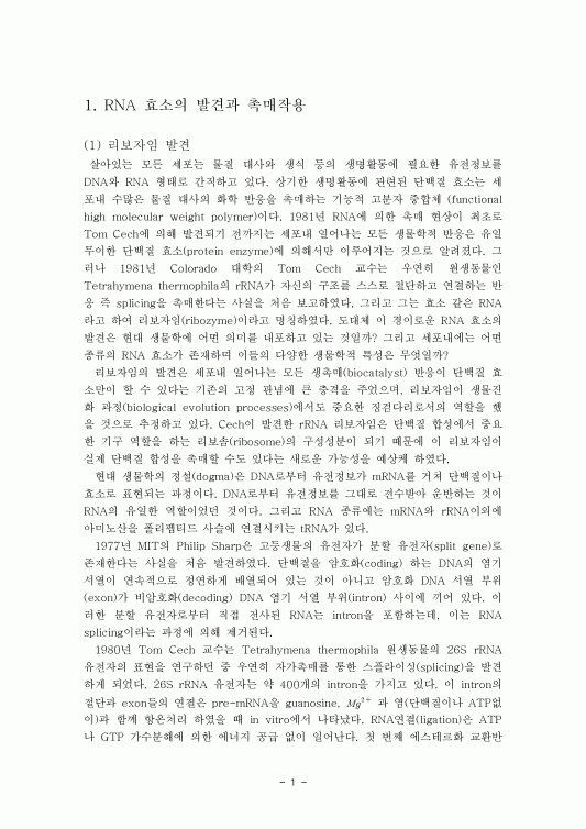 촉매 RNA 레포트 자료