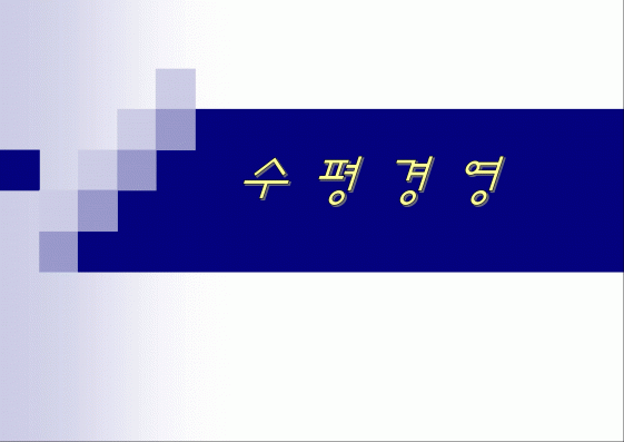 수평 경영 레포트 자료