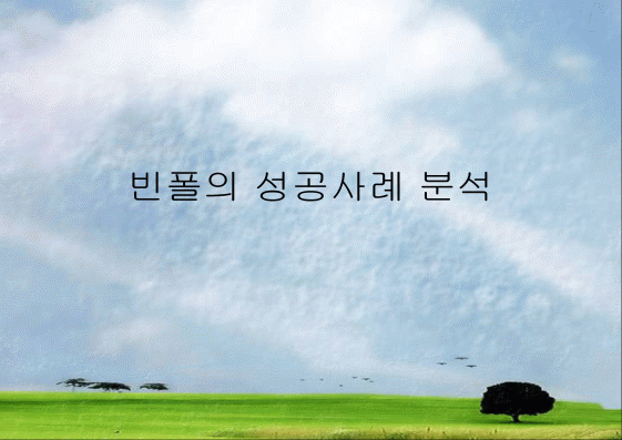 빈폴의 마케팅 성공사례 분석