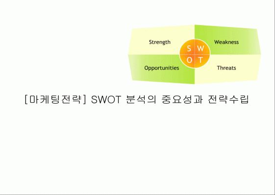 [마케팅전략] SWOT 분석의 중요성과 전략수립