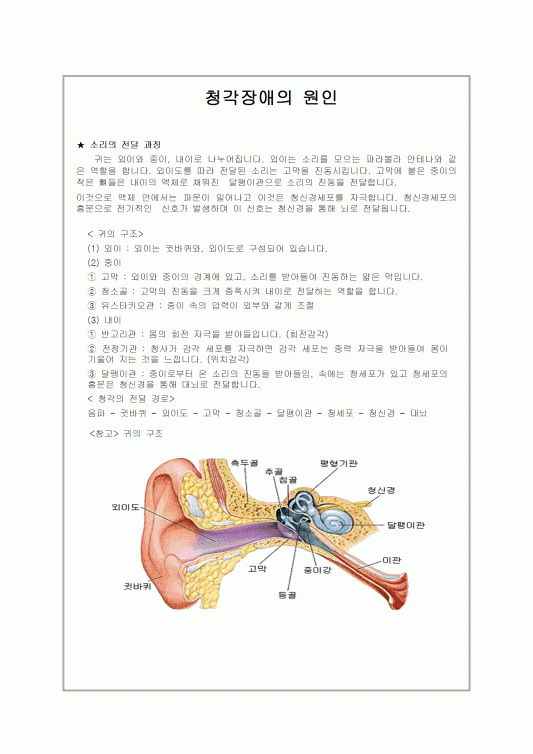 청각장애의 원인