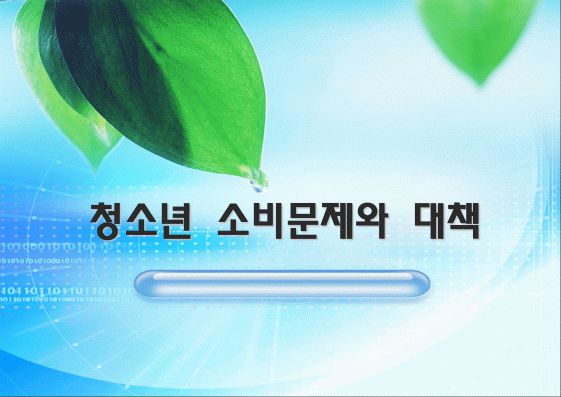 청소년소비문제와 대책