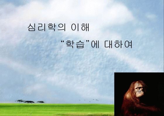 심리학의 이해 : 학습에 대하여
