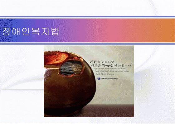 장애인복지법 개요
