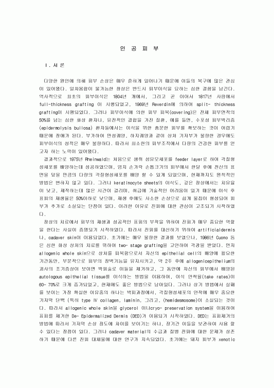 인공피부 레포트 자료