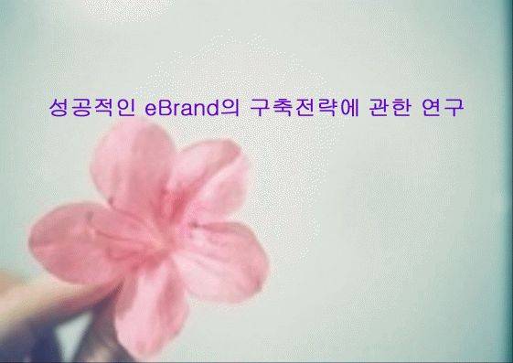 성공적인 eBrand의 구축전략에 관한 연구