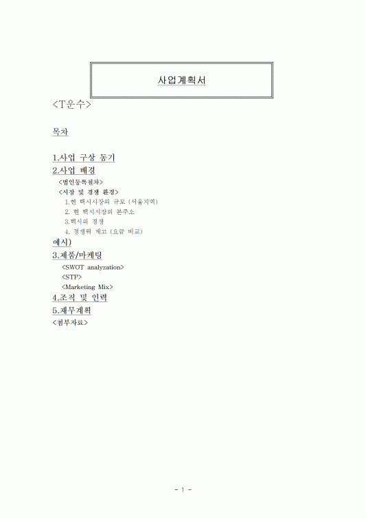 경영학과 사업계획서 (t운수 새로운 교통기업)