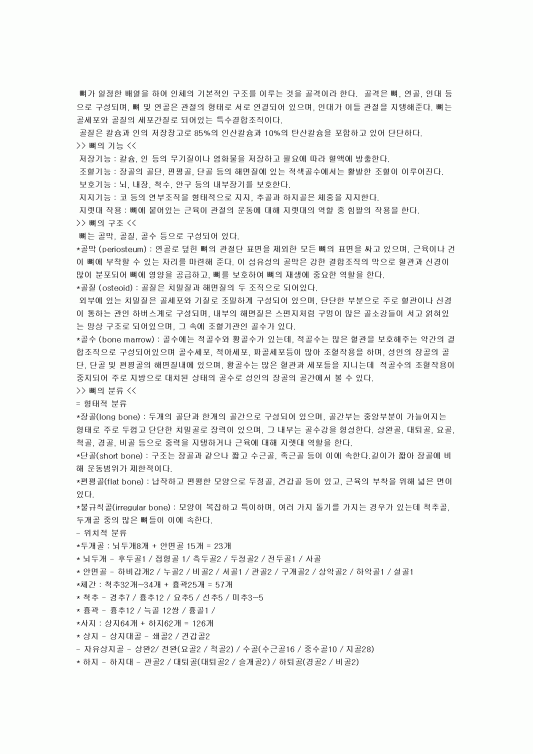 인체의 뼈의 구조