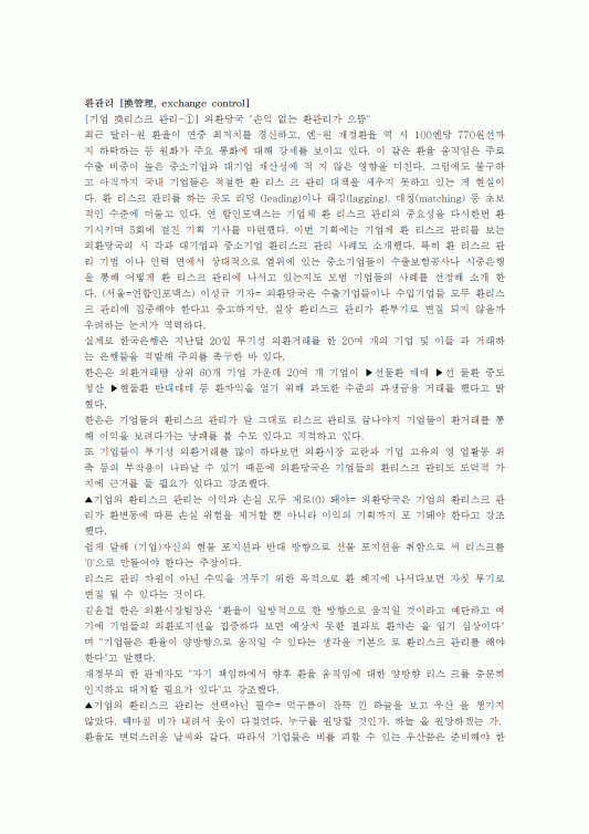 우리나라 기업의 환리스크 관리 현황과 대책