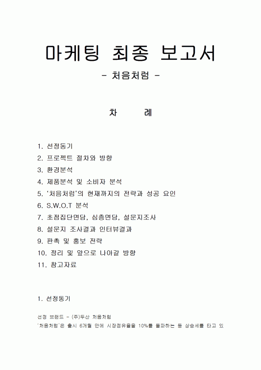처음처럼 마케팅사례분석