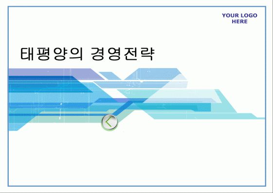 태평양경영전략