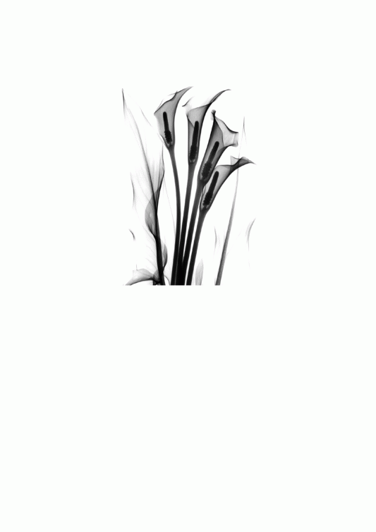 관광자원 개발