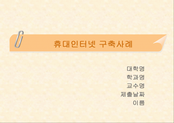 휴대인터넷 구축사례