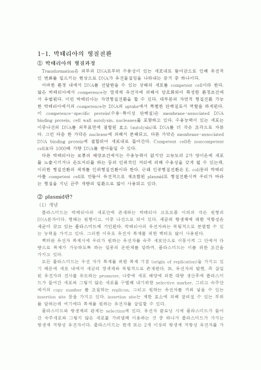 일반 생물 레포트 - 박테리아 실험