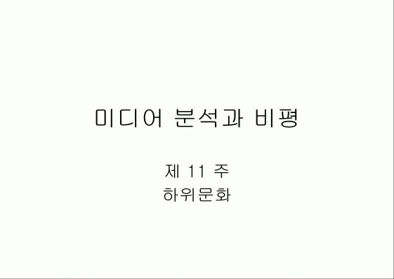 하위문화 레포트 자료