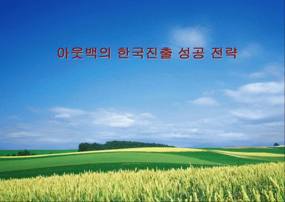 아웃백의 한국진출 성공전략