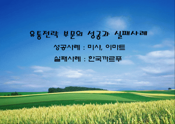 유통전략 부문의 성공과 실패사례 (미샤, 이마트, 까르푸 사례분석)