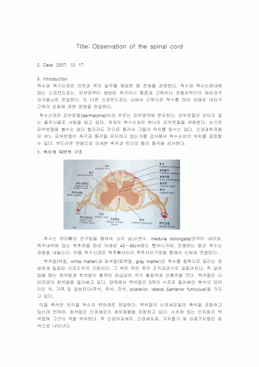 척수조직의 관찰