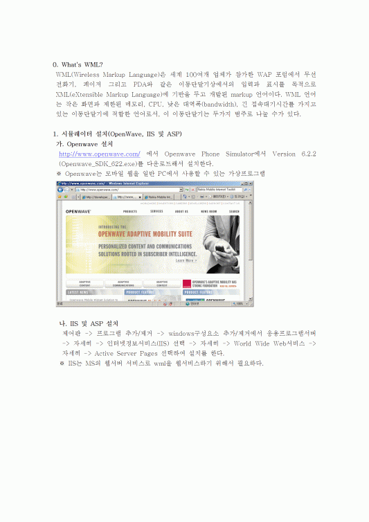 WML 환경 구축 및 요약