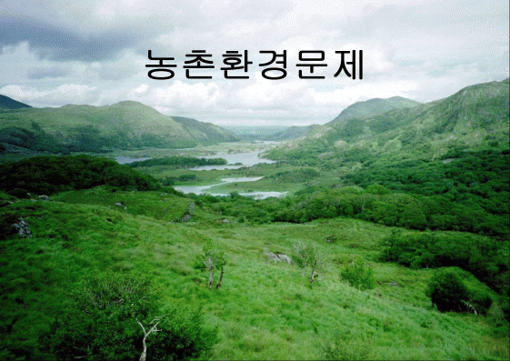 [사회과학] 농촌의 환경오염문제에 대해서
