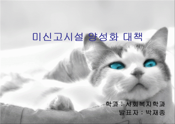 미신고시설양성화대책