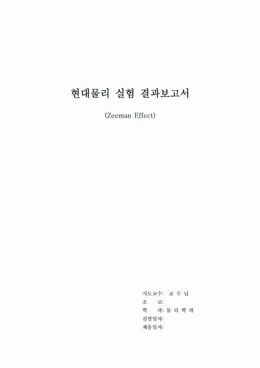 지만효과결과보고서