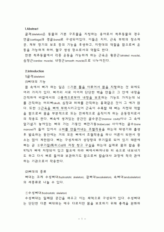 근육및골격 레포트 자료