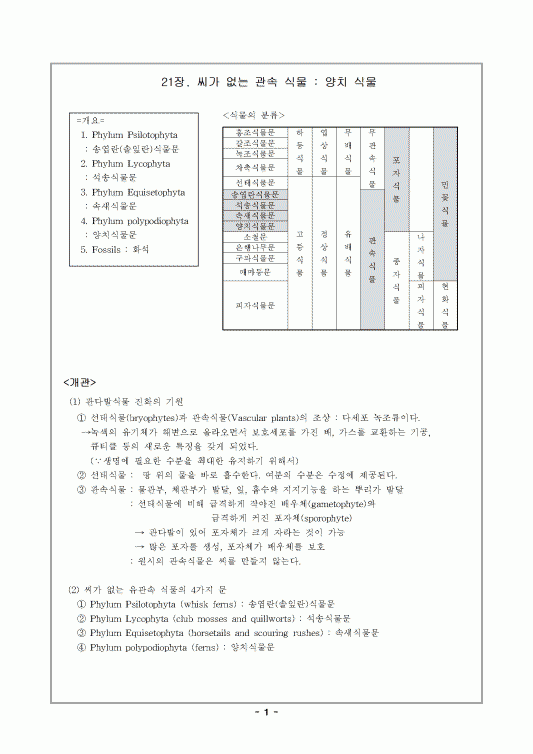 양치식물 - 조사, 정리 자료