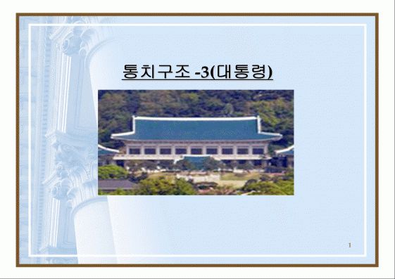 [법학-헌법] 통치구조 (대통령)