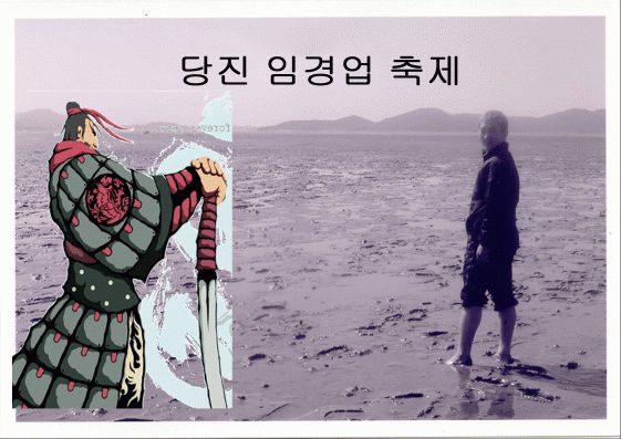 당진 임경업축제