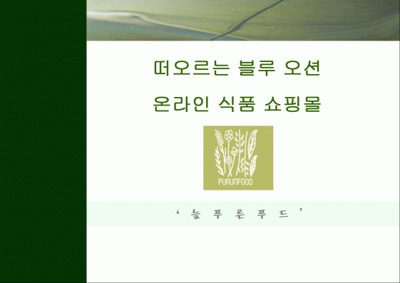 온라인 식품 쇼핑몰 사업 계획서