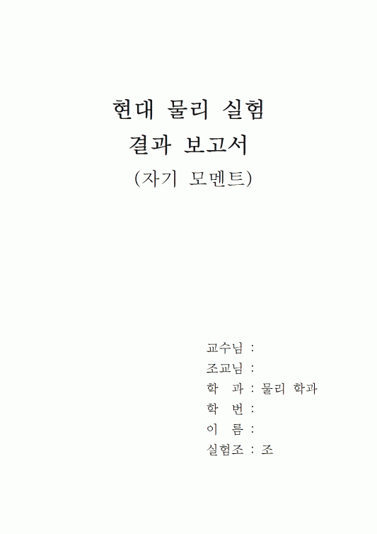 자기모멘트 결과보고서