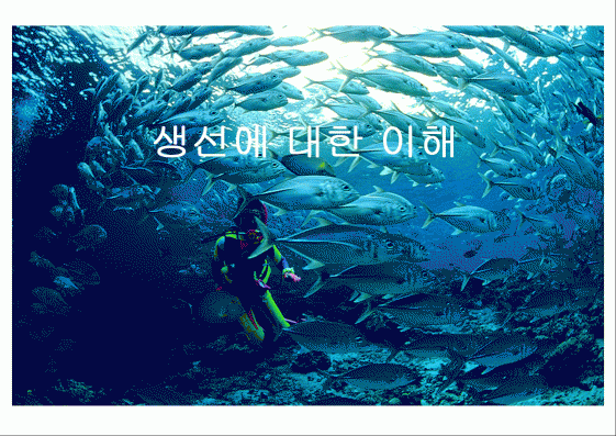 생선에 대한 이해