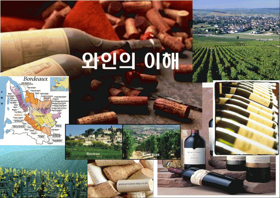 와인의 이해 레포트 자료