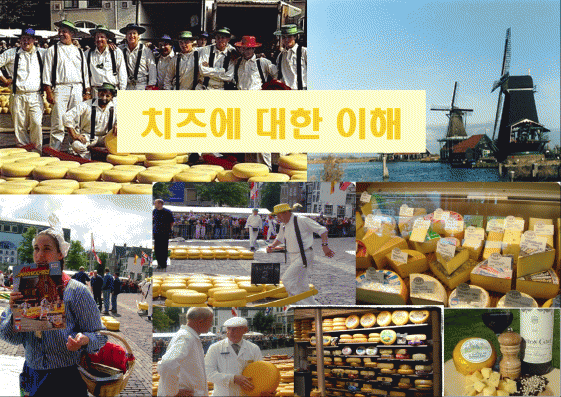 치즈에 대한 이해