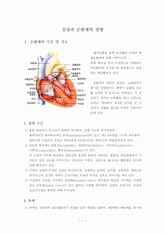 심장과 순환계의 질병및 치료