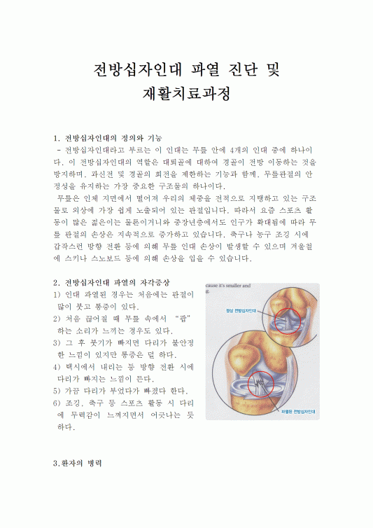 전방십자인대 파열 및 재활치료 프로그램