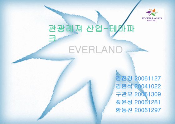 테마파크 산업 분석 -에버랜드를 중십으로