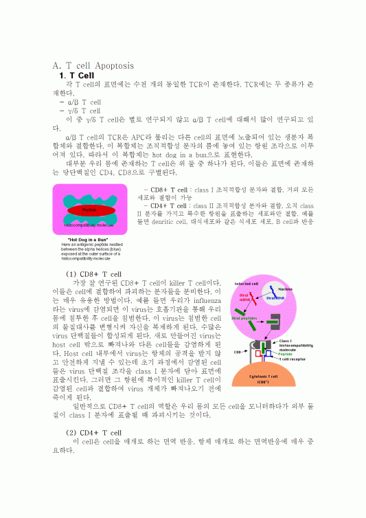 세포사멸(apoptosis)과 세포괴사(necrosis)